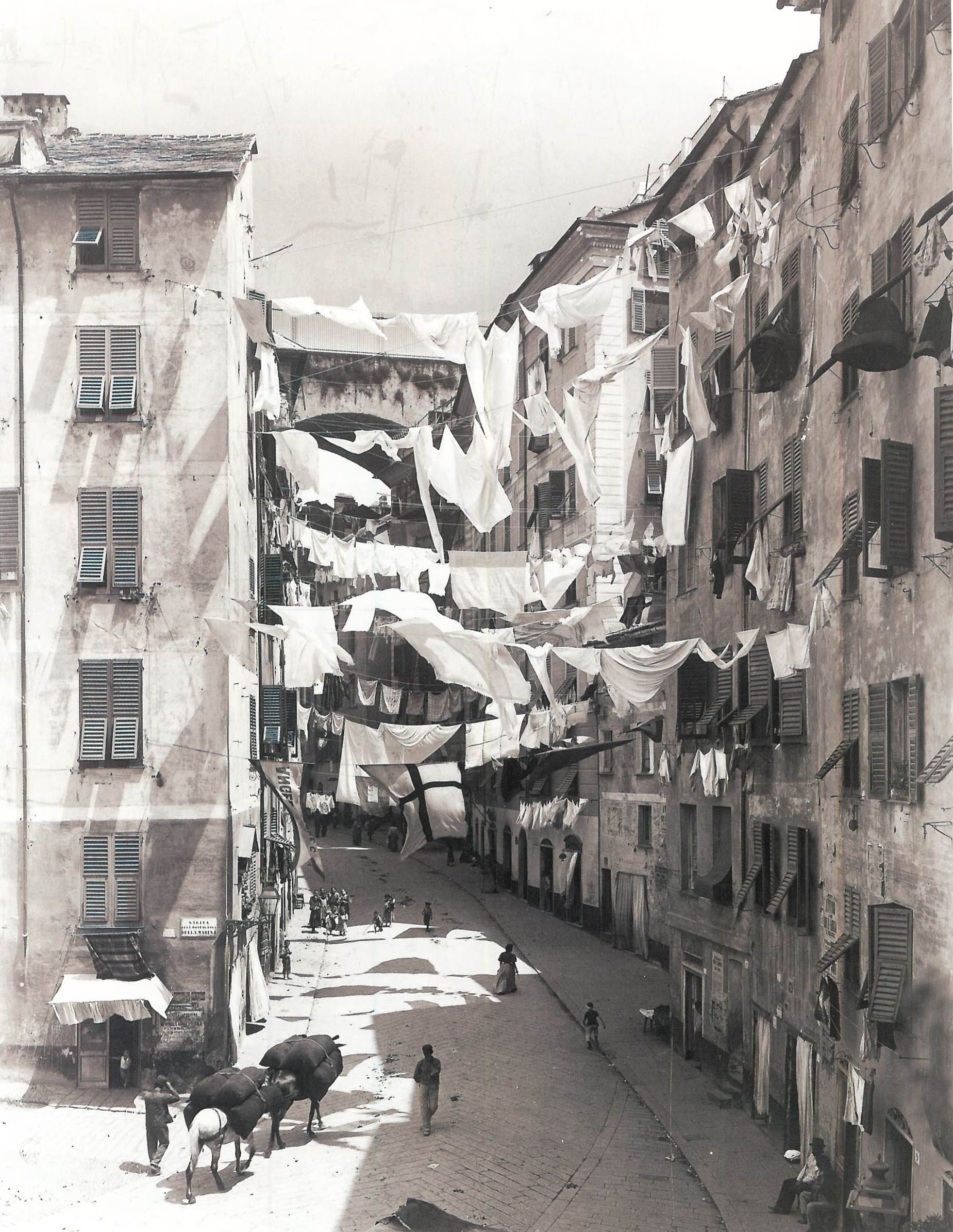 Fratelli Alinari: A Photographic Tradition - Estorick Collection